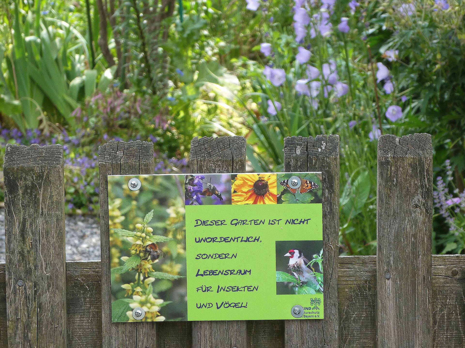Dieser Garten ist nicht unordentlich, sondern insektenfreundlich ...